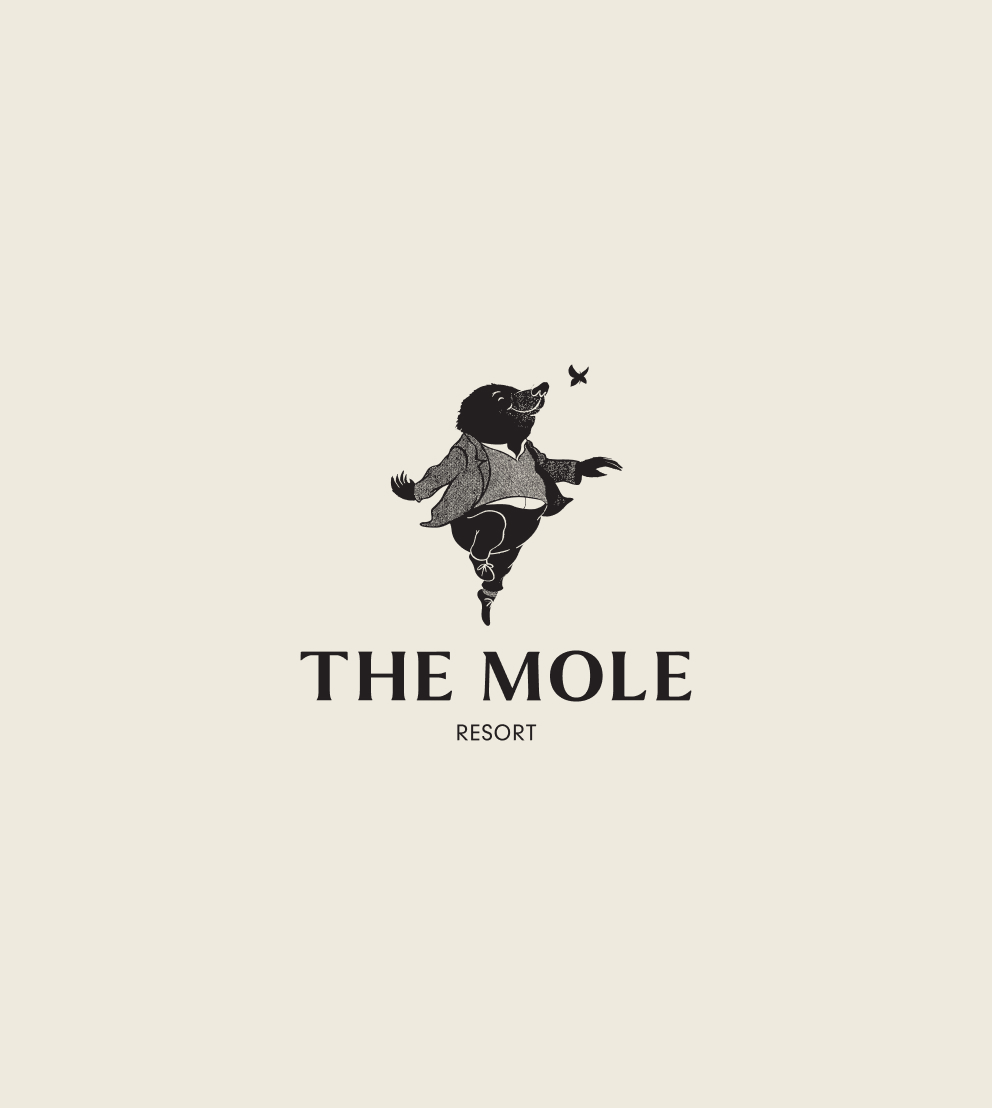 Devon Holidays and Breaks at The Mole Resort